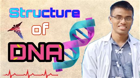 6 Structure Of Dna ডি এন এ এর গঠন Hsc Botany Chapter 1 Youtube
