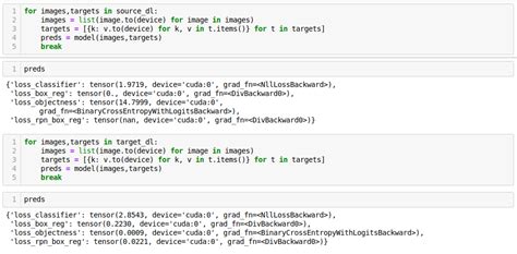 Loss Rpn Box Reg Is Nan Torchvision Vision PyTorch Forums