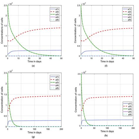 Rate Of Concentration Of Cells Along The Time T In Days Stem Cells Y 1