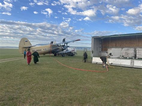 Ойн хөнөөлт шавжтай тэмцэх ажил 90 хувьтай үргэлжилж байна