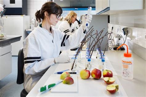 Wageningen Plant Research On Linkedin Biocontrol Microbiomes Biologicalcontrol Plantpathology