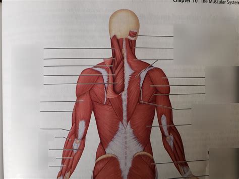 Diagram Quizlet