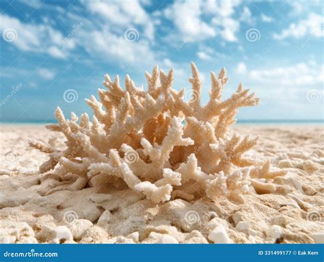 Protecting Coral Reefs A Fragile Ecosystem Under Threat From Bleaching