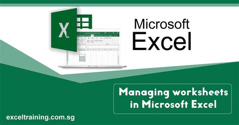 skillsfuture excel courses managing worksheets in microsoft excel