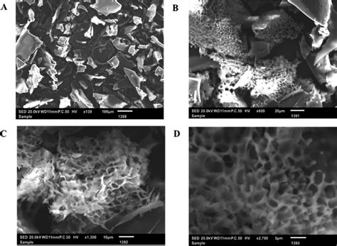 Scanning Electron Microscopy Sem Analysis Of Crude Polysaccharides Download Scientific