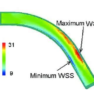 Band Plot Of A The Velocity Magnitude Cm S B WSS Along The Wall Download Scientific