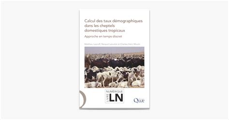 Calcul des taux démographiques dans les cheptels domestiques tropicaux