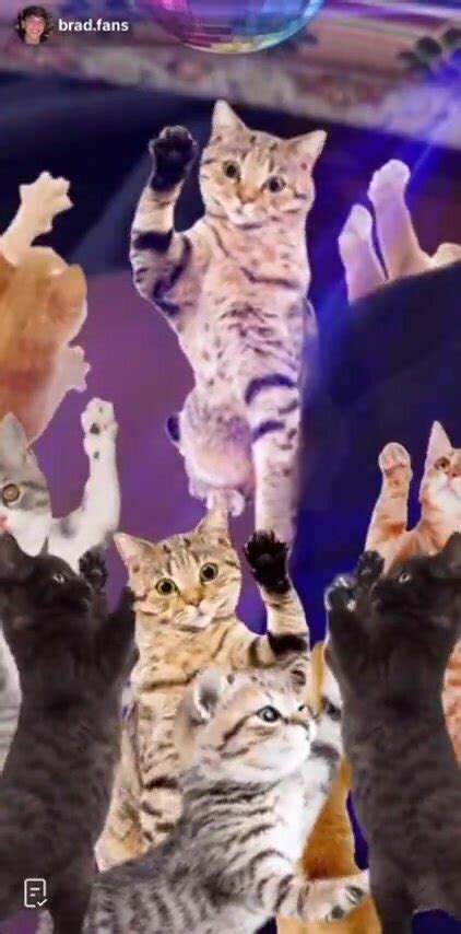 Tiktok Live Leaks 01