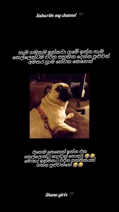 හැම ගමකම ඉන්නෝ කෙල්ලොන්ට චරිත සහතික දෙන්න පුළුවන් අමතර ග්‍රාම සේවක