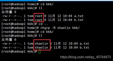 Linux文件权限的基本介绍gx Csdn博客