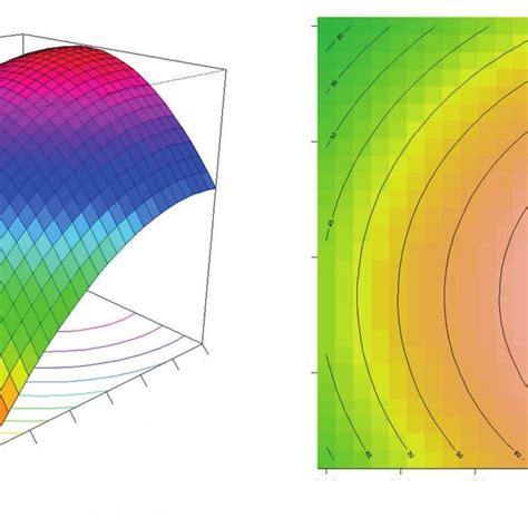 Response Surface For Degradation As A Function Of Molecular Weight Vs