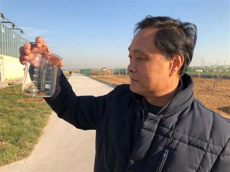 蟑螂养殖视频教程活吃蟑螂视频 商梦号