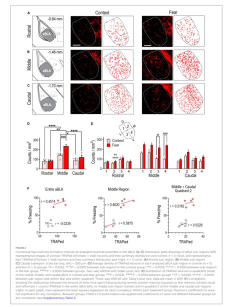 Anterior Basolateral Amygdala Neurons Comprise A Remote Fear Memory