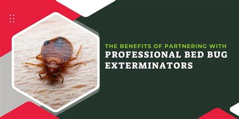 The Benefits Of Partnering With Professional Bed Bug Exterminators