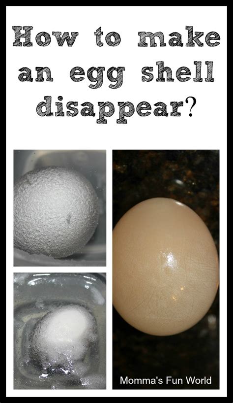Egg Shell Science Experiment