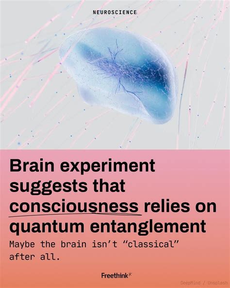 Some Scientists Suspect That Quantum Processes Including Entanglement