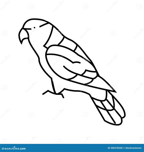 Black Capped Lory Parrot Bird Line Icon Vector Illustration Stock