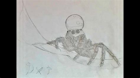 Jumping Spider Pencil Drawing With Drop On Its Head Rjumpingspiders