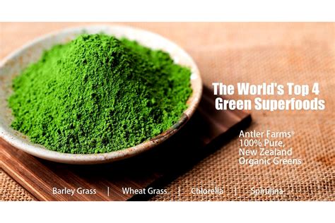 New Zealand Super Greens Antler Farms