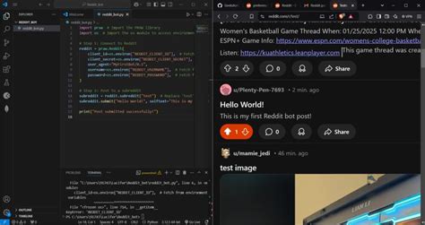 Swarnadeep Banerjee On Linkedin Python Automation Redditbot Coding
