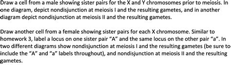 One Diagram Depict Nondisjunction At Meiosis I And Chegg Com