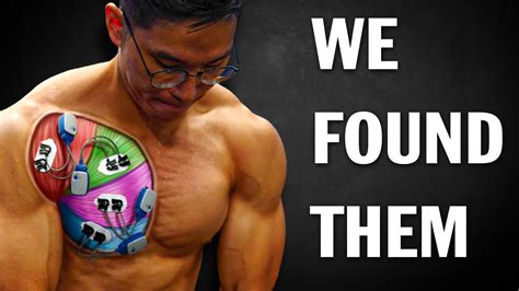 We Tested 16 Chest Exercises These Are Best For Growth Youtube