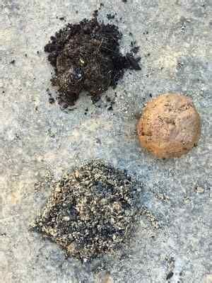 Discover The Diversity Of Soil Types