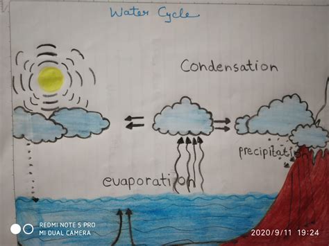 Water Cycle In Nature Smart Wonders School