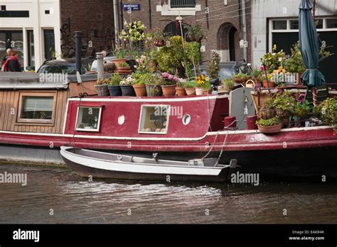 Houseboat On A Canal With Plant Pots In Amsterdam Holland Netherlands
