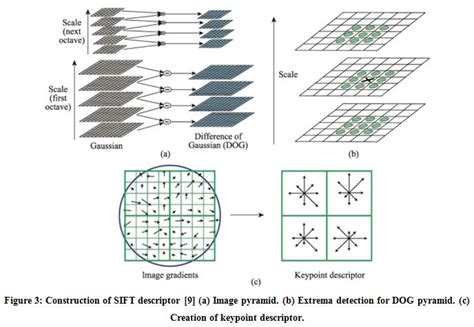 A Robust Model Using Sift And Gamma Mixture Model For Texture Images
