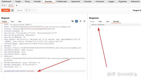 Portswigger做题记录 Os Command Injection（操作系统命令注入） 知乎