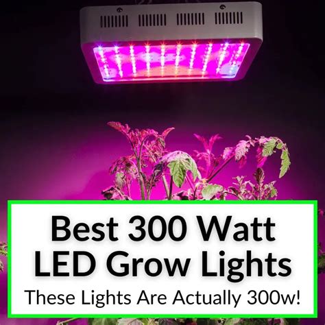 Best 300 Watt Led Grow Light True 300w