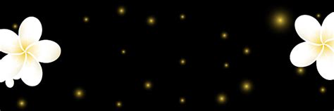 프랑지파니 잎 떨어지는 발리 플루메리아 꽃입니다 하와이 자연 감촉 크리스마스에 대한 스톡 벡터 아트 및 기타 이미지 크리스마스 하와이 문화 0명 Istock
