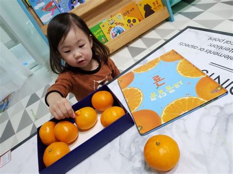 새콤달콤 귤 귤을 이용한 관찰 및 미술놀이 놀라운 자연 네이버 블로그