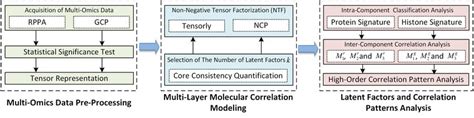 Workflow Of The Proposed Approach Which Involves Three Major