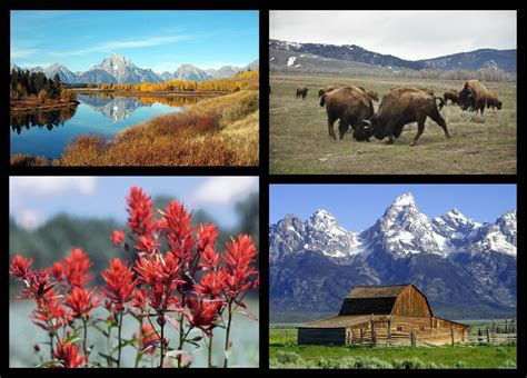 Grand Teton National Park Hot Springs Exploring Geothermal Realities