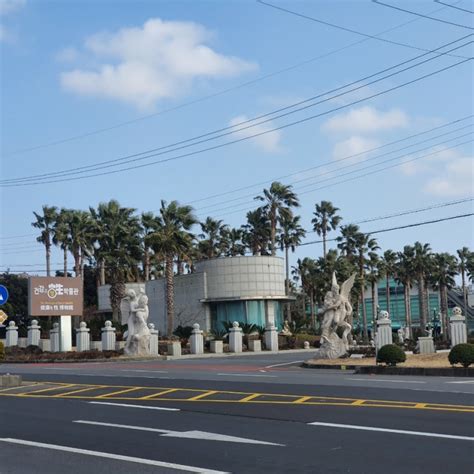 12월 겨울 제주도 비오는날 가볼만한곳 커플여행지 실내관광 제주 건강과성박물관 네이버 블로그