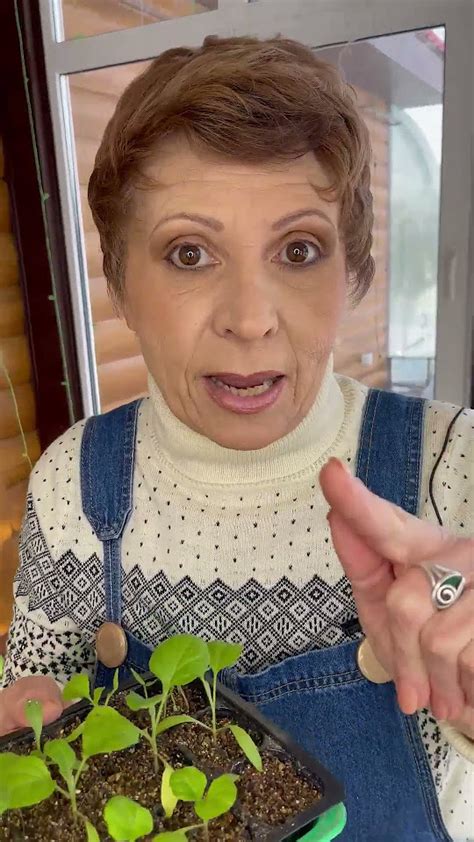 Какое УДОБРЕНИЕ ВЫБРАТЬ Youtube