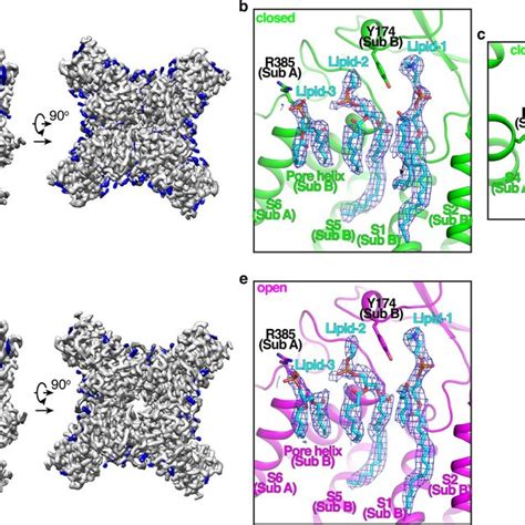 Cryo Em Density Maps And Atomic Models Of Selected Key Regions In