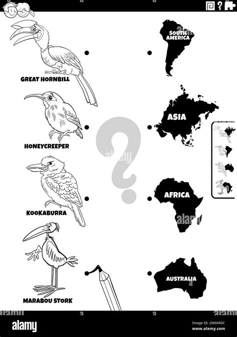 Match Cartoon Birds And Continents Task Coloring Page Stock Photo Alamy