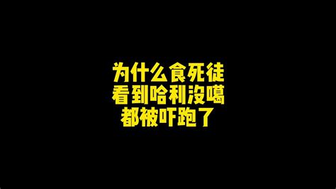 《这小子真吓人啊》 霍格沃茨的华夏老师 霍格沃茨的华夏老师 哔哩哔哩视频