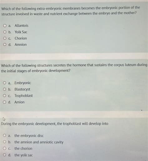 Which Of The Following Extra Embryonic StudyX