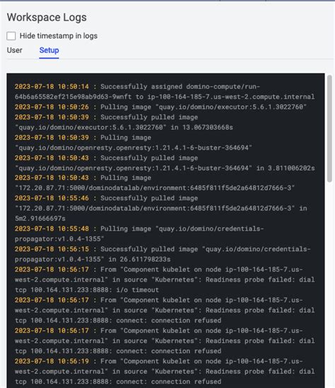 Workspaces And Jobs Troubleshooting Domino Data Lab
