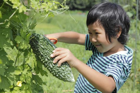 正しい自己分析で希望の就職をしよう