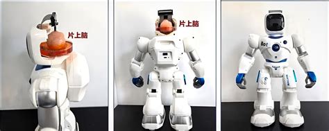 Brain In A Jar Biocomputers Can Now Learn To Control Robots