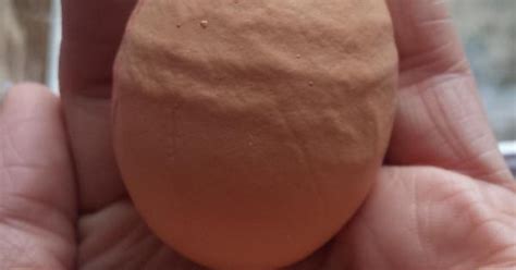 This Crinkly Egg Imgur
