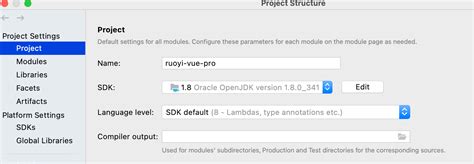 项目首次编译失败 · Issue 223 · Yunaivruoyi Vue Pro · Github