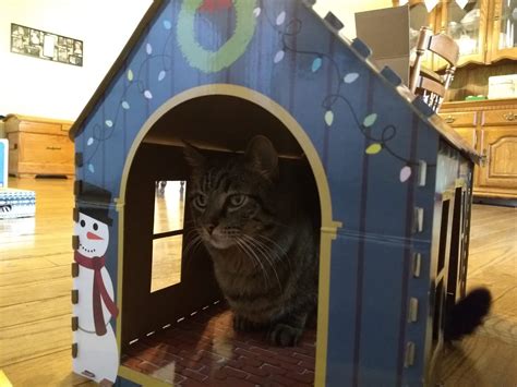 Aldi Nutcracker Cat House At Bev Wood Blog