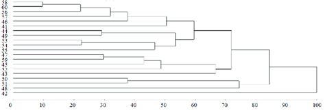 clustering of 20 soybean glycine max genotypes using the median