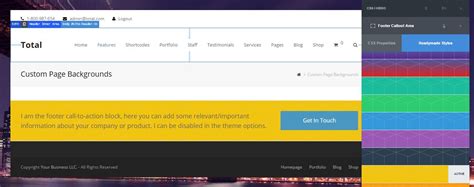 Total WordPress Theme - How to customize the design